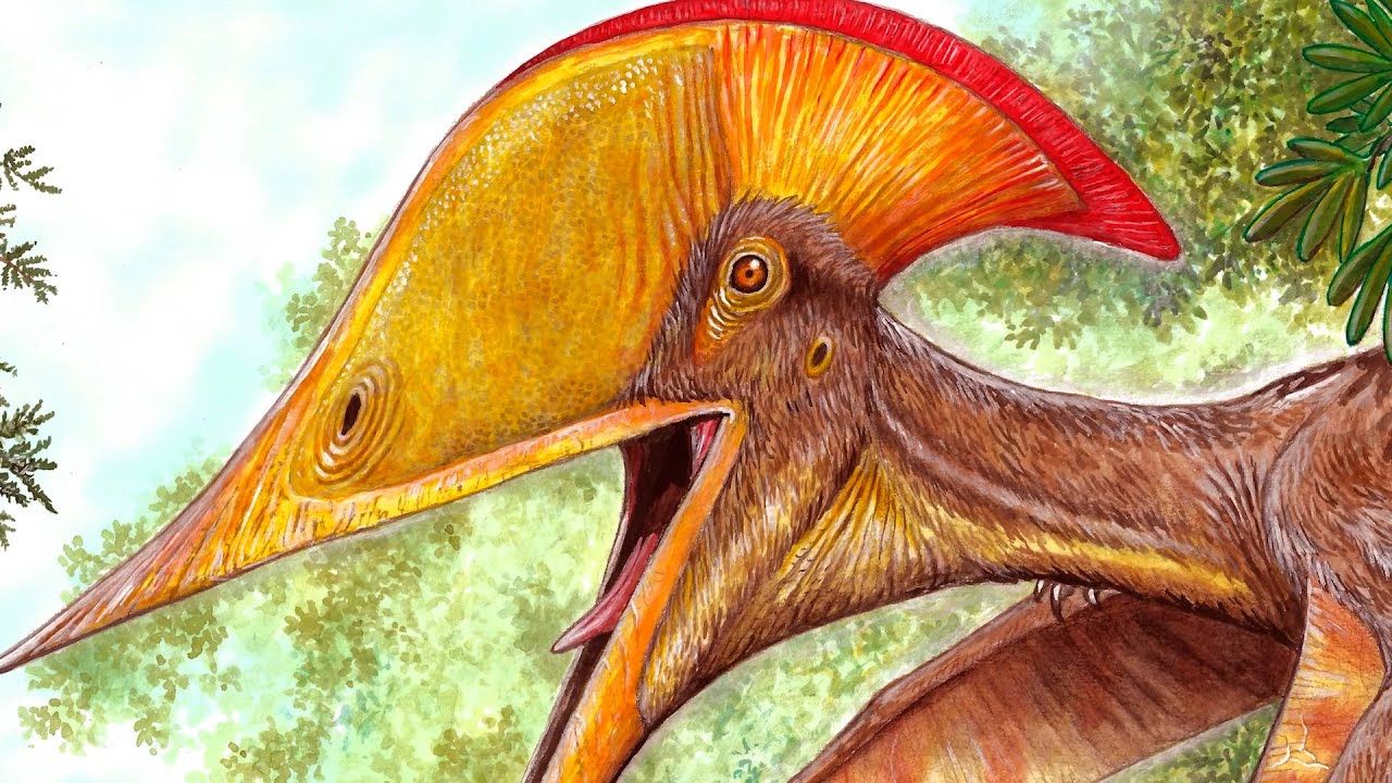 Scientists from China and Brazil uncover new species of pterosaur ... Scientists from China and Brazil uncover new species of pterosaur ...